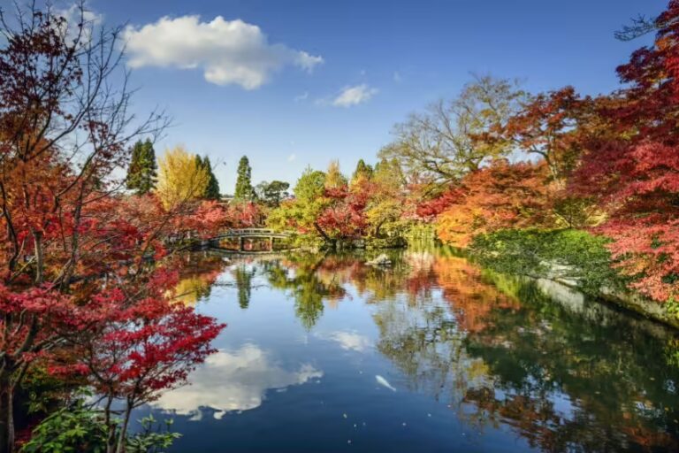 Top 5 Autumn Destinations India: Discover the Best Fall Foliage in ...